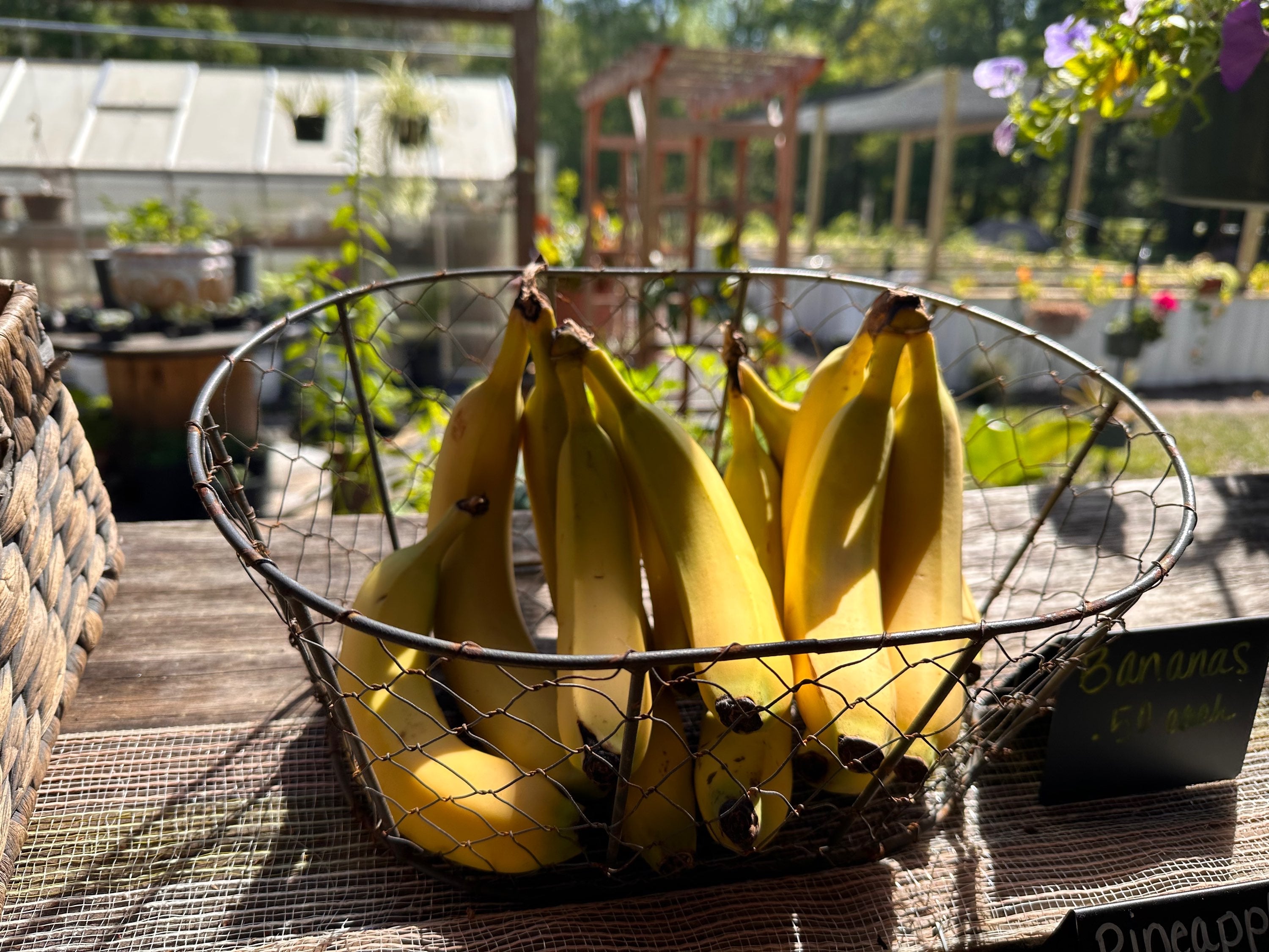 Bananas (non gassed)- each – Farm 99